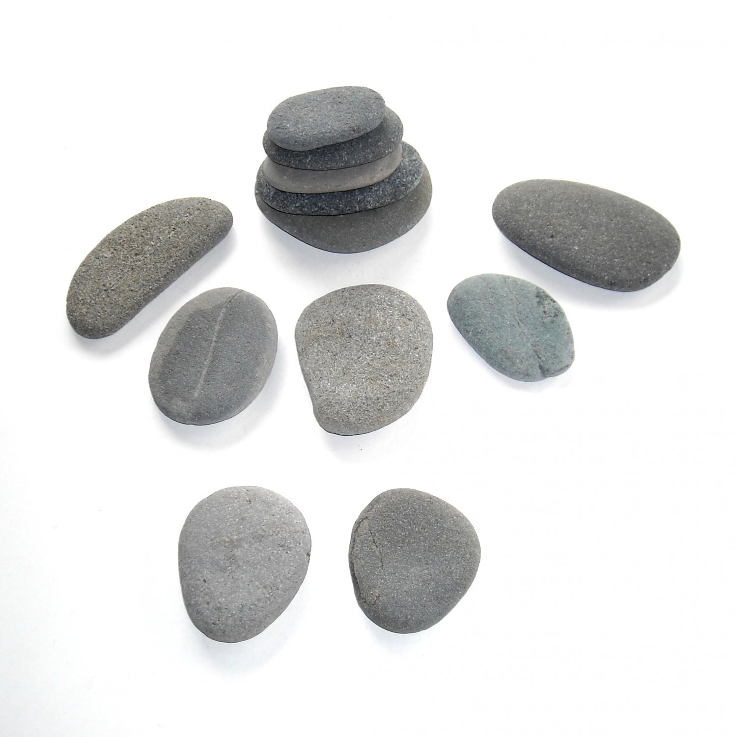 Flat Skipping Painting Oval Natural Pacific Northwest Beach Rocks ...