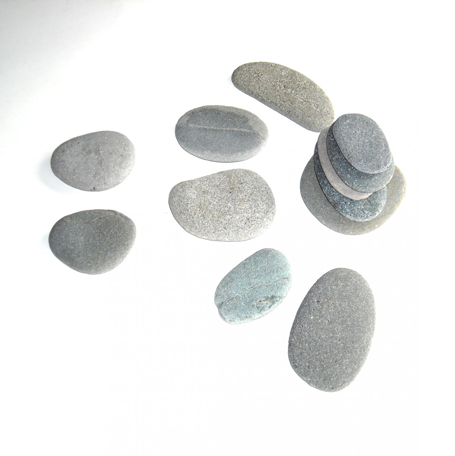 Flat Skipping Painting Oval Natural Pacific Northwest Beach Rocks ...