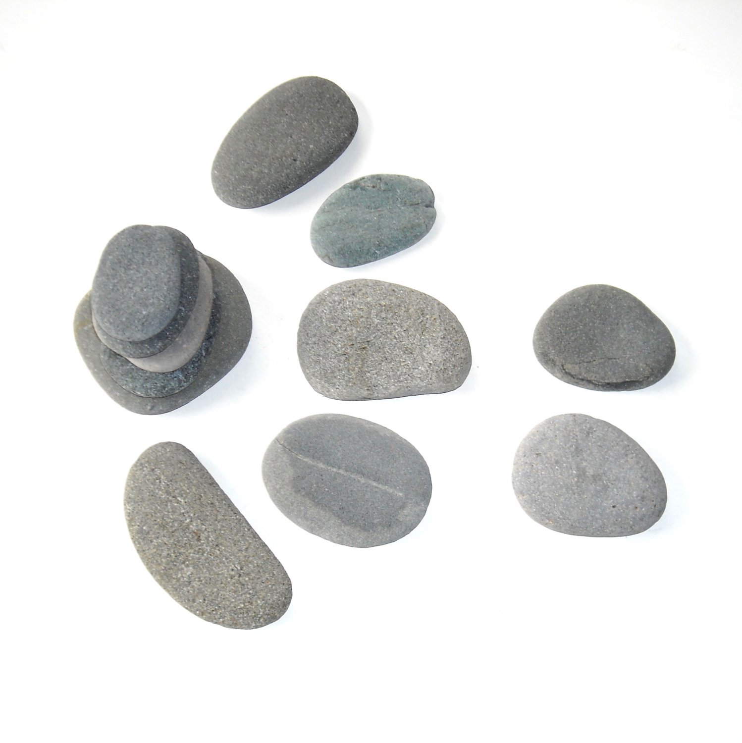 Flat Skipping Painting Oval Natural Pacific Northwest Beach Rocks ...