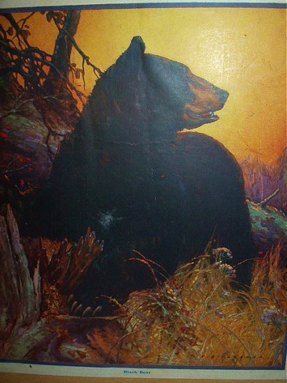 BLACK BEAR-Cabin Art Lithograph Print-P.B.PARSONS