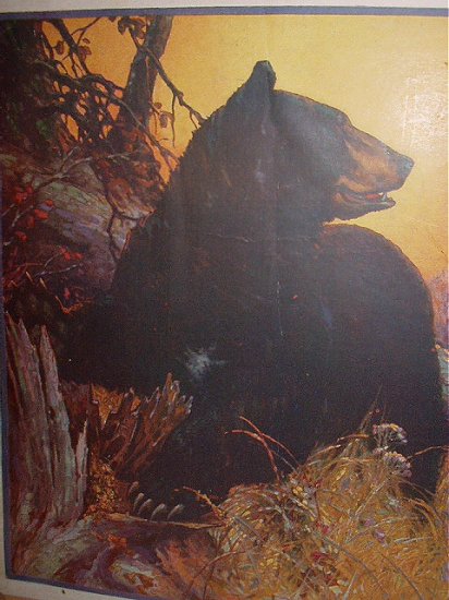 BLACK BEAR-Cabin Art Lithograph Print-P.B.PARSONS