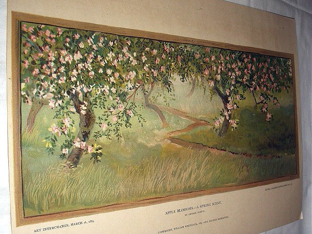 1885-APPLE BLOSSOMS-GORGEOUS-ORIGINAL ANTIQUE CHROMOLITHOGRAPH PRINT ...