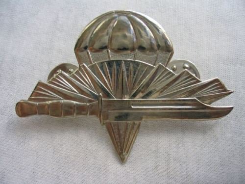 Israel Israeli army IDF airborne brigade rangers badge