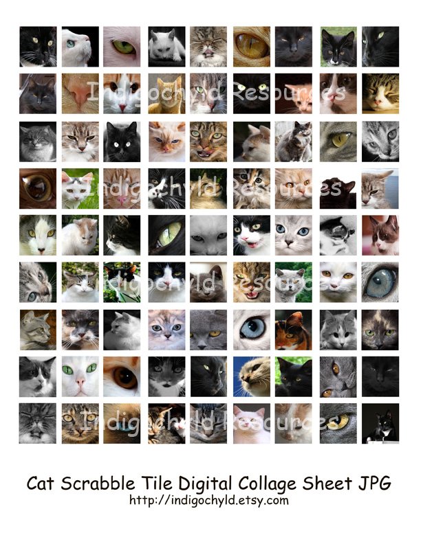 Cat Scrabble Tile Digital Collage Sheet