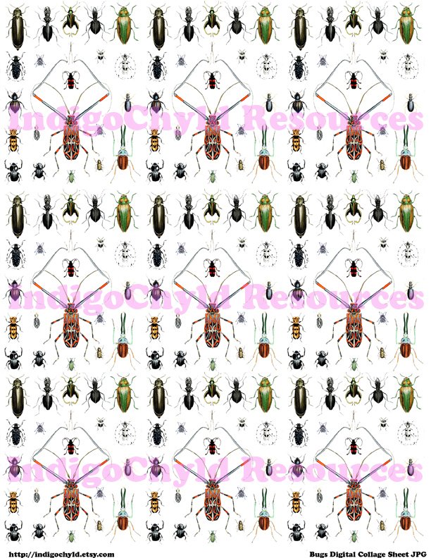 Bugs Digital Collage Sheet JPG