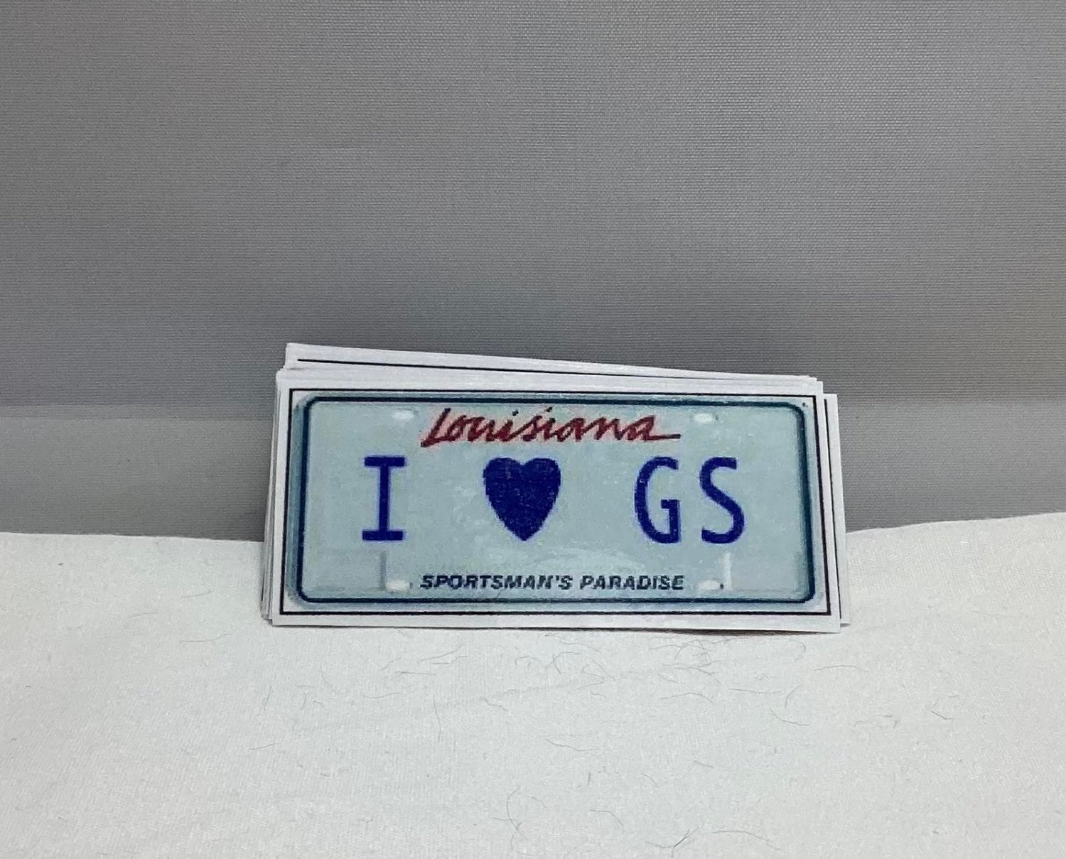 Mini Louisiana I Love GS License Plates SWAPS Kit Girl Scouts Kids ...