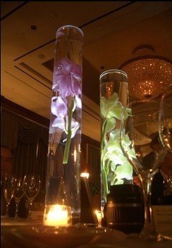 Submersible FloraLyte Candel LED Lights