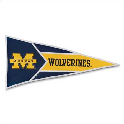 University Of Michigan Pennant