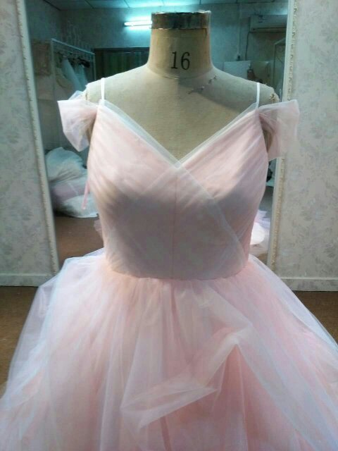 Pastel Plus Size Wedding Dresses Darius Cordell