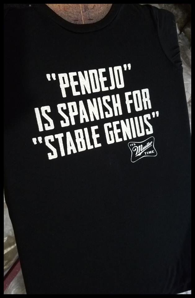 PENDEJO Is Spanish For STABLE GENIUS - Premium Sueded T Shirt SIZE 3XL