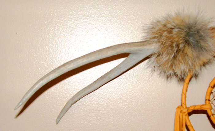 Indian Dance Staff Deer Antler & Dreamcatcher Native American made