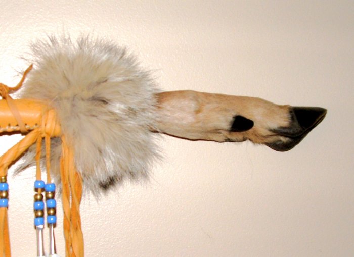 Indian Dance Staff Deer Antler & Dreamcatcher Native American made