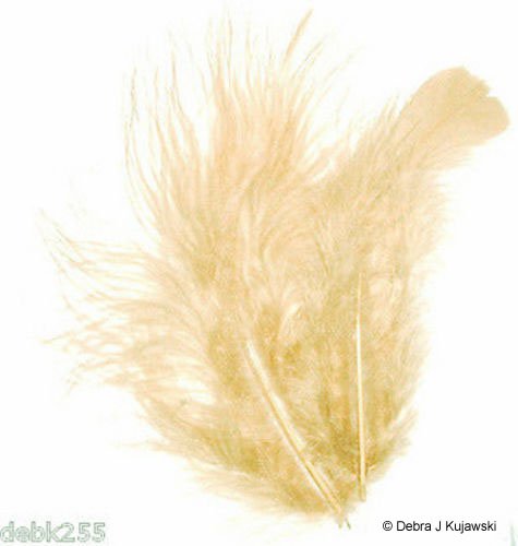 BEIGE Feathers Fluffy Marabou 1/4 oz (7g) 3-8"