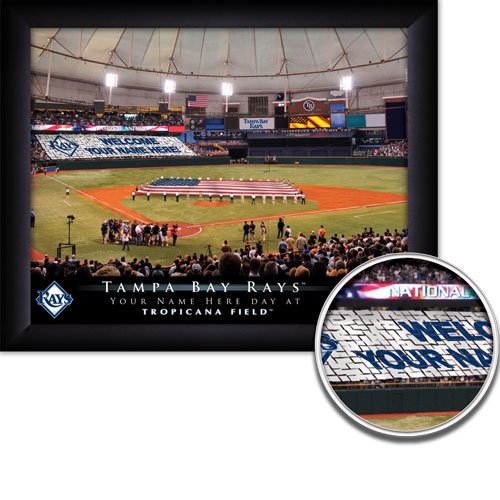 Tampa Bay Devil Rays Stadium Print With Your Name