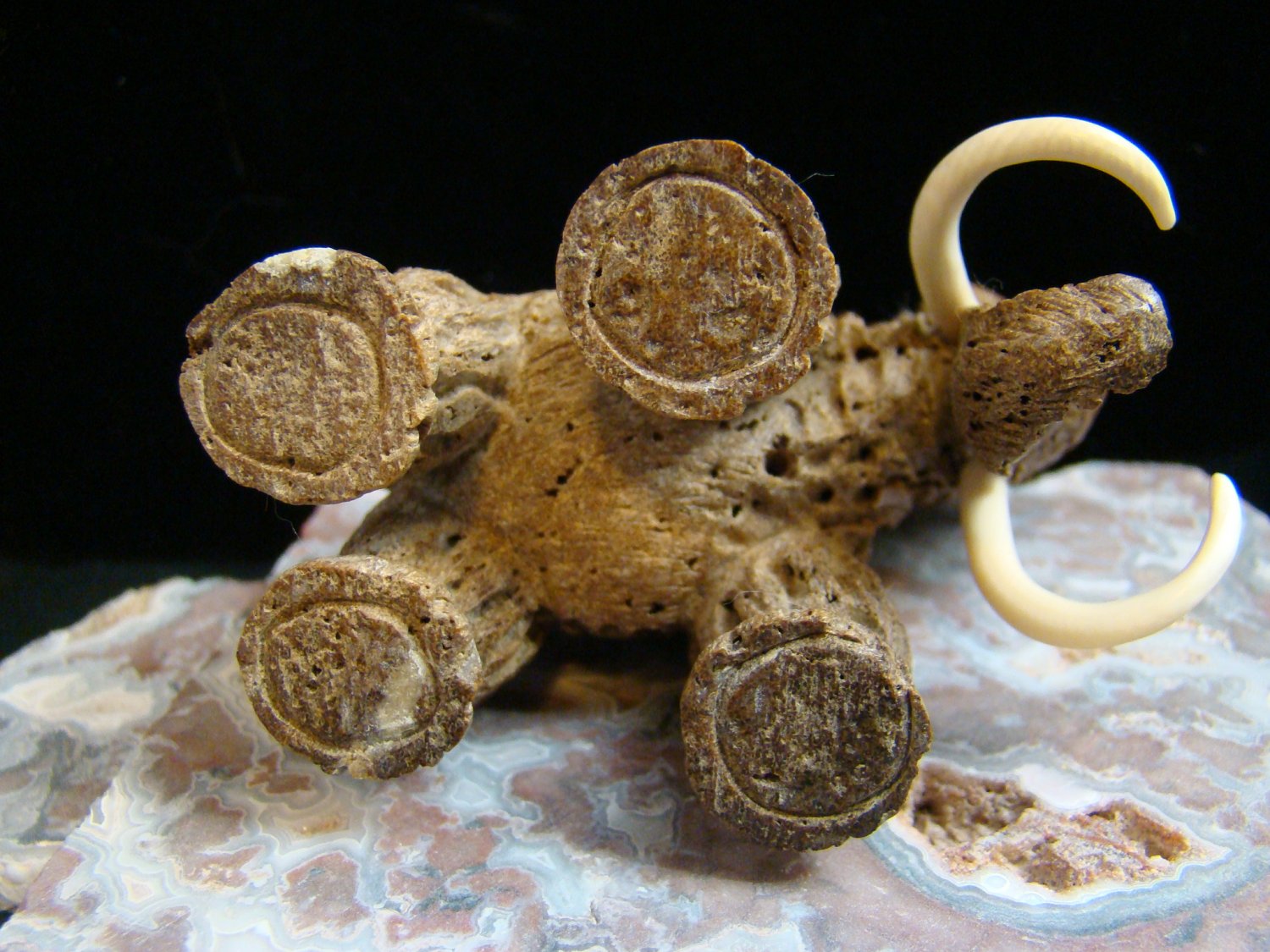 BABY MAMMOTH INUIT / ESKIMO CARVING - FOSSIL IVORY TUSK - ALASKA ICE ...